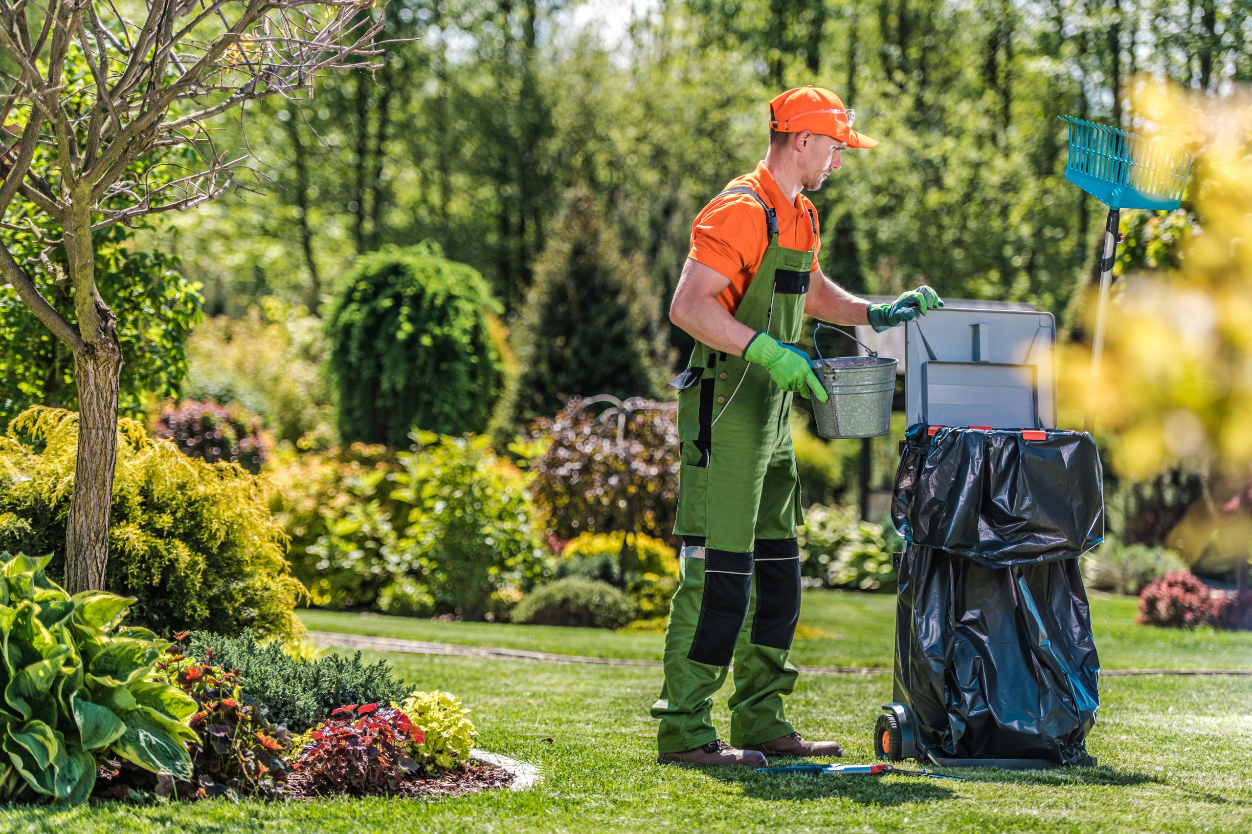 Yard Clean Up Book A Yard Clean Up Service Online At Provingo